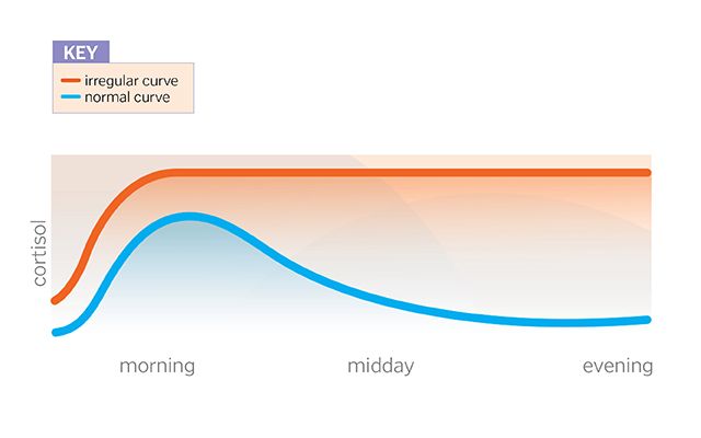 Кортикостерон дааврын түвшинг нэмэгдүүлэх | Эмийн ургамал судлалын төв